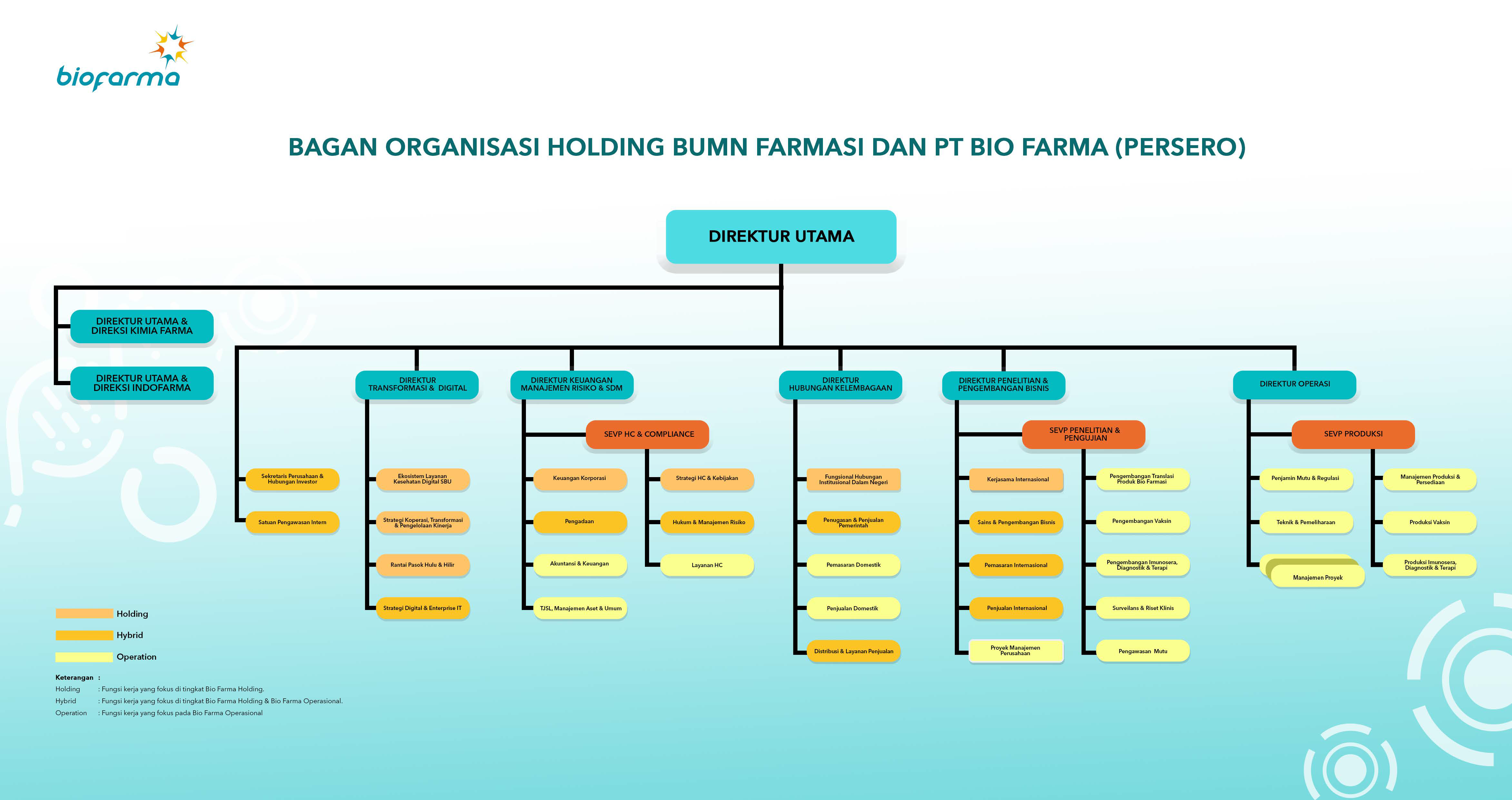 Management Team